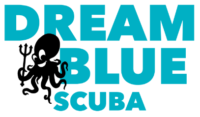 Upcoming Trips – Learn, Grow, and Travel with us